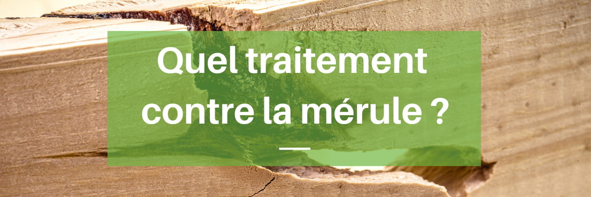 Quel traitement contre la mérule : tout ce que vous devez savoir